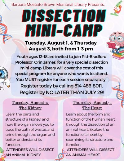 brown-library-mimi-camp – Solomon's Words for the Wise