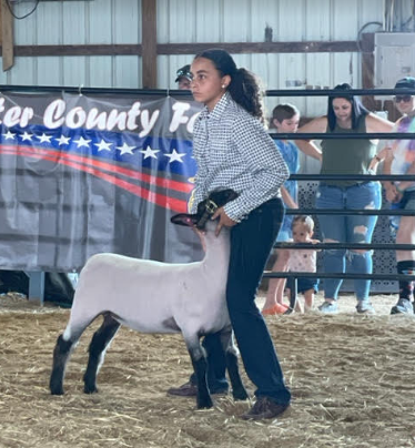 2023 Potter County Fair Champions – Solomon's Words for the Wise