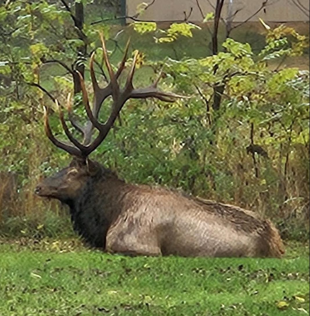 Scald Prevention Safety Tips – Solomon's Words for the Wise