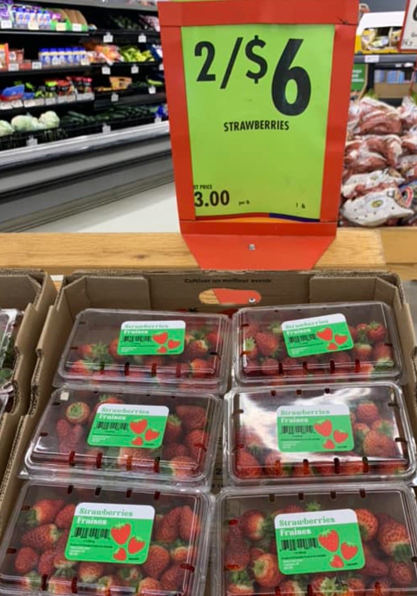 Save a Lot Stores in Bradford & Kane, PA – Solomon's Words for the Wise