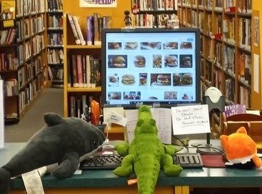 Stuffy Sleepover at the Library is Back – Solomon's Words for the Wise