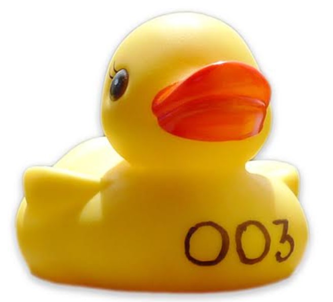 Duck Derby Challenge – Solomon's Words for the Wise