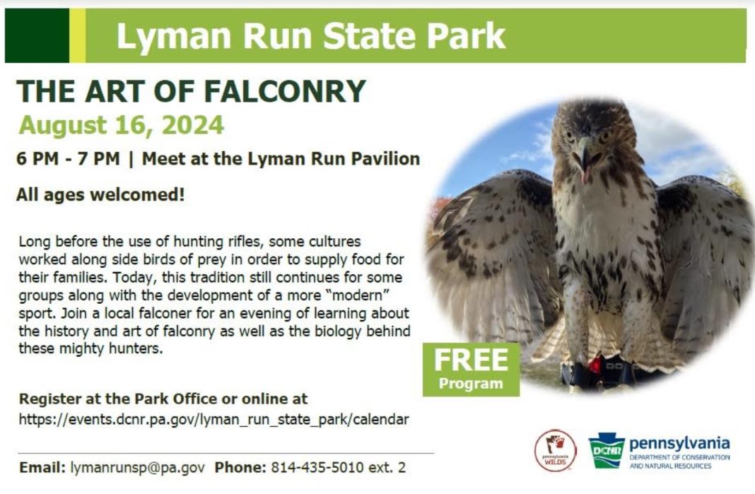 Falconry Program August 16 at Lyman Run Pavilion – Solomon's Words for ...