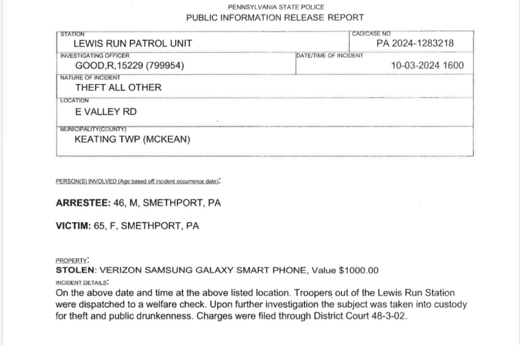 Theft Arrest In Keating Twp. – Solomon's Words for the Wise