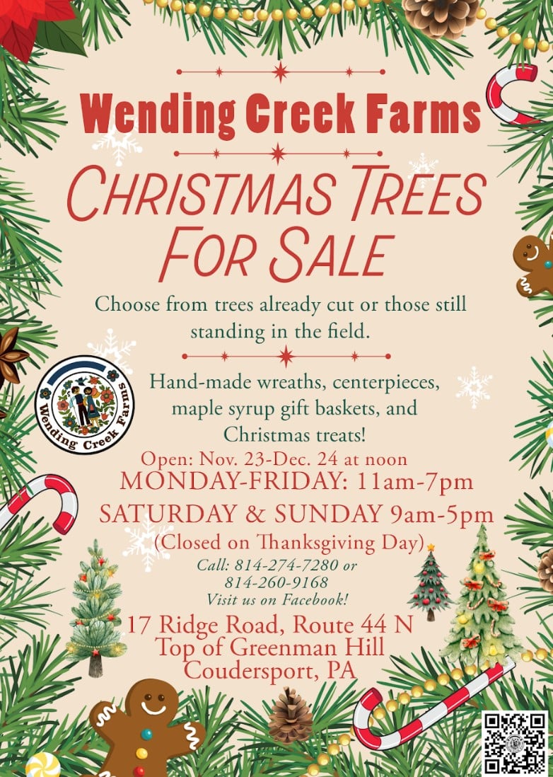 Wending Creek Farms Has Christmas Trees Available – Solomon's Words for ...