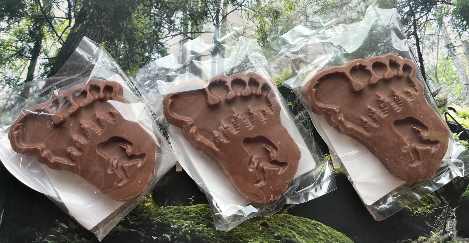 Highland Chocolates Teams Up With PA Wilds Center For New Trail Mix And ...