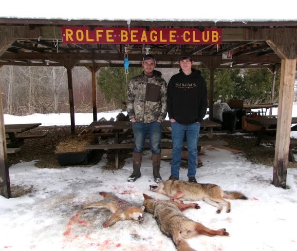Last Day Coyotes at Rolfe Beagle Club’s Coyote and Fox Hunt or Trap ...