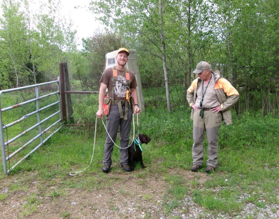 Successful Individual Bird Dog Training Offered at Rolfe Beagle Club in ...