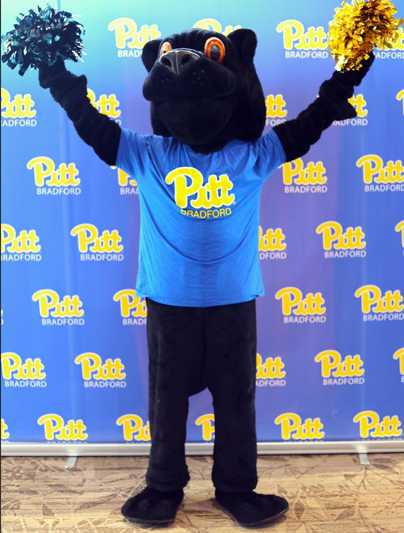 VOTE ON A NAME FOR THE PITT-BRADFORD PANTHER – Solomon's Words for the Wise