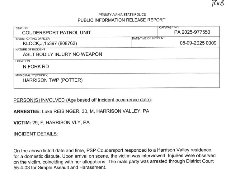 Assault Arrest In Harrison Twp. – Solomon's Words for the Wise