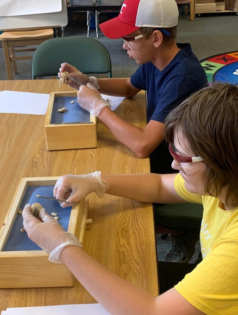 Barbara Moscato Brown Memorial Dissection Mini-Camp Registration Open ...