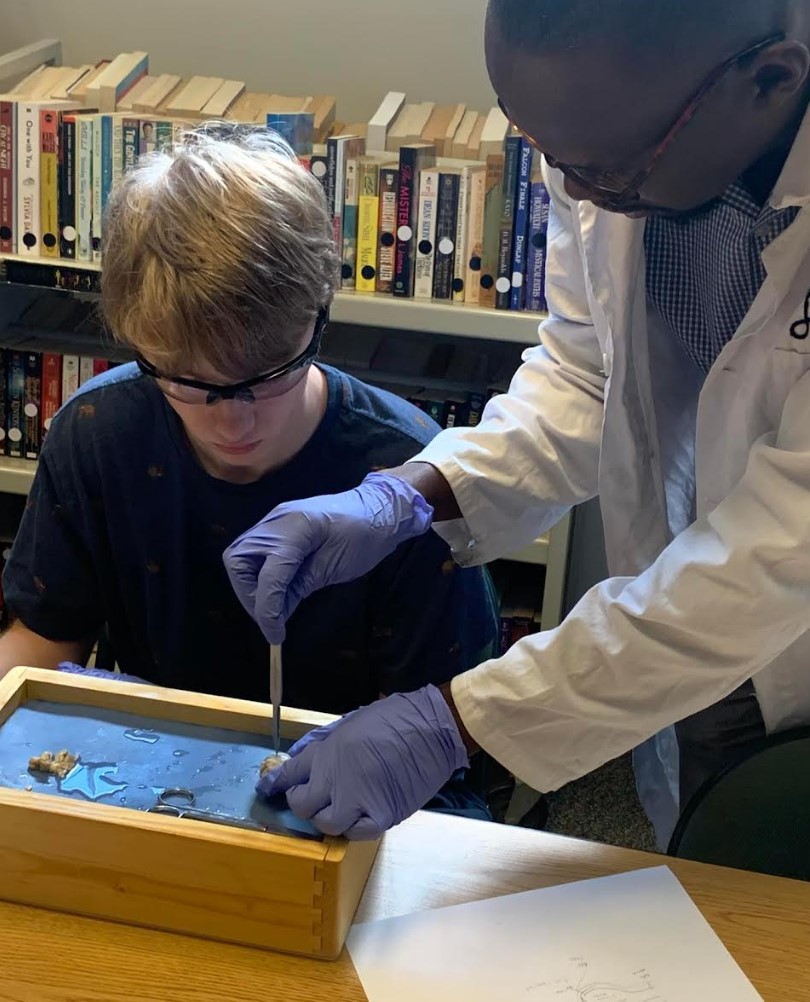 Barbara Moscato Brown Memorial Dissection Mini-Camp Registration Open ...
