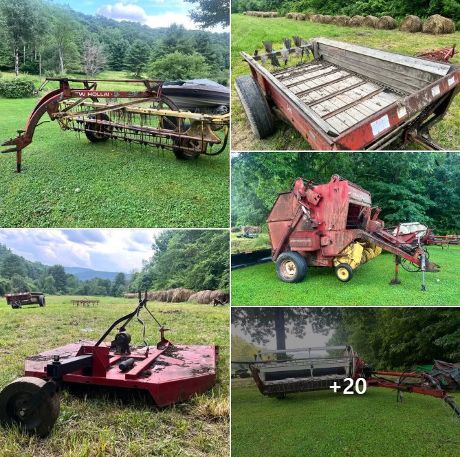 Auction Layne Farm Machinery And Agricultural Tools Online Auction ...