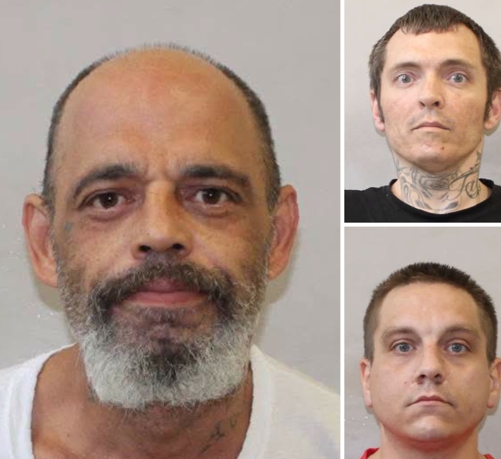Three Arrested For Drugs And Guns In Olean – Solomon's Words for the Wise
